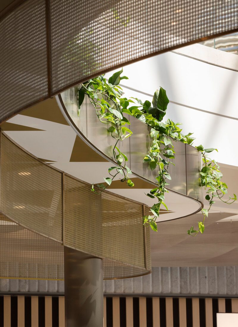 Chadstone Food Atrium | Retail | Chadstone VIC - Luchetti Krelle