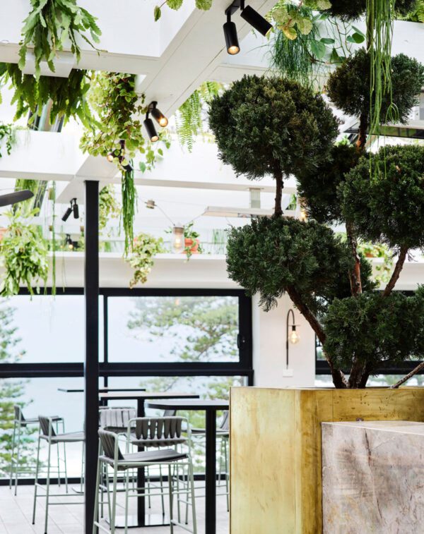 Chadstone Food Atrium | Retail | Chadstone VIC - Luchetti Krelle